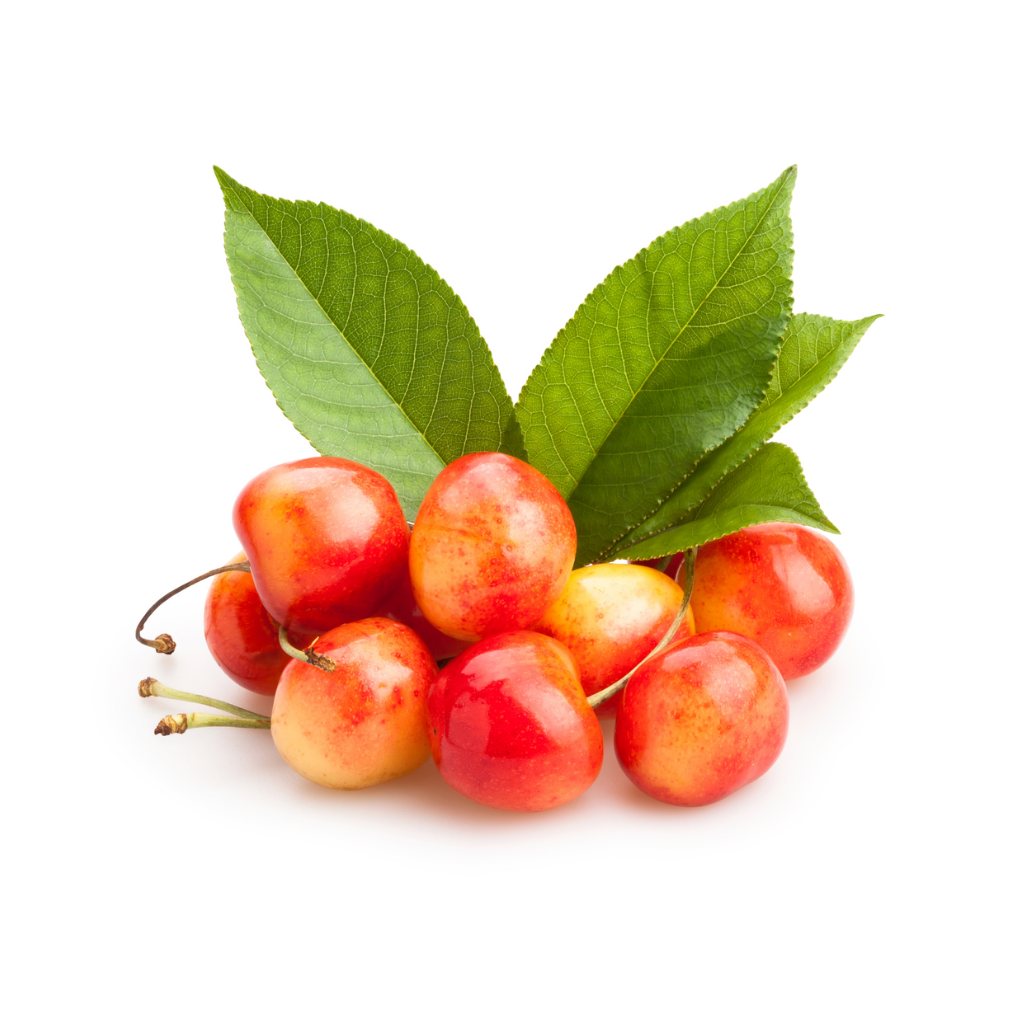 Pure Otago Cherries - a brand by Pure Pac Sales Ltd