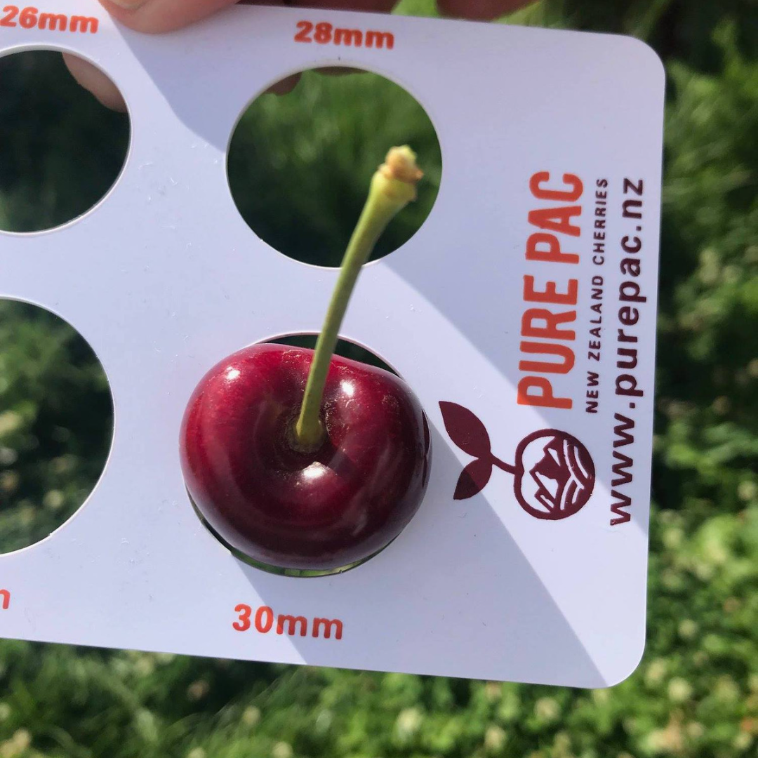 Pure Otago Cherries - a brand by Pure Pac Sales Ltd